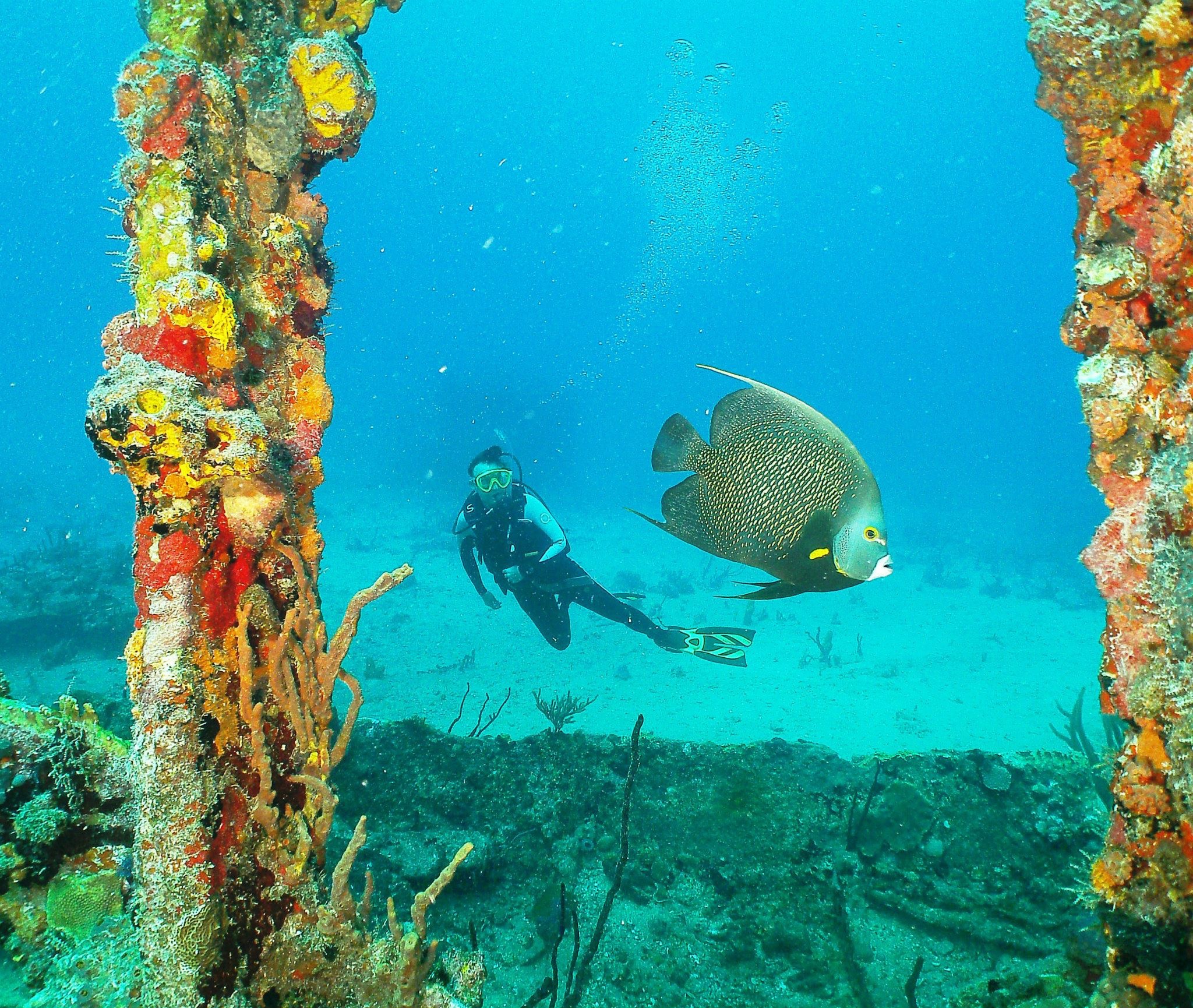 Learn More About Dive BVI | About Dive BVI