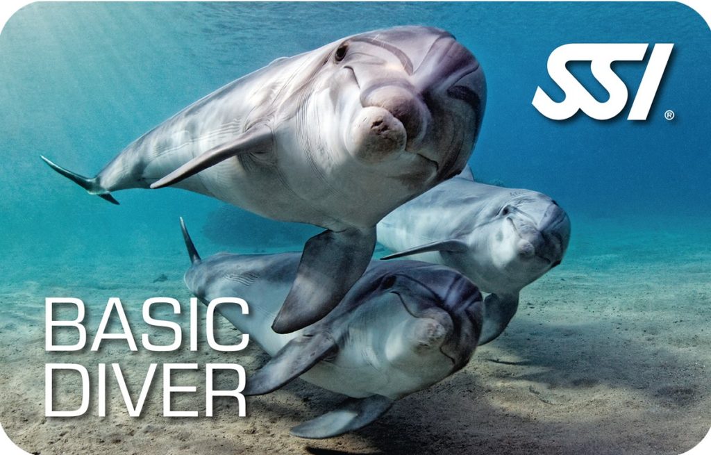 Try Scuba Diving | Dive BVI - Start your diving today in BVI